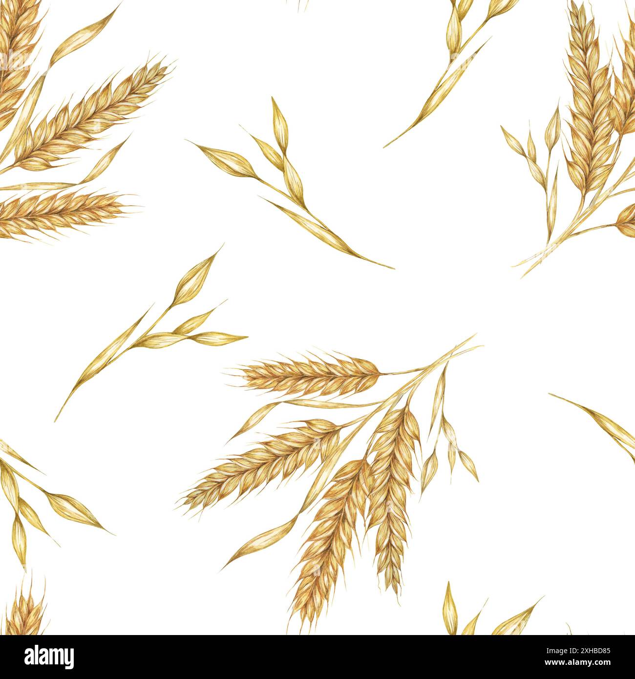 Golden wheat or barley spikes background. Watercolor seamless pattern ...
