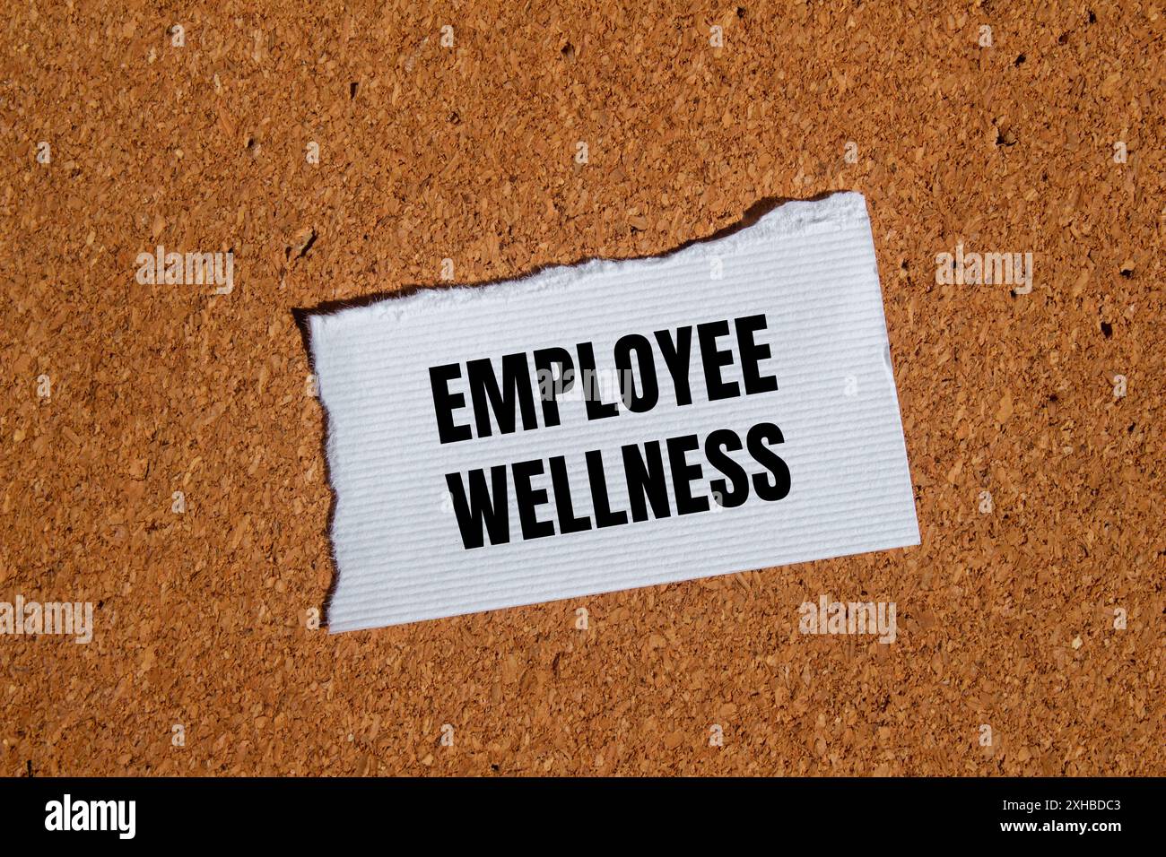 Employee wellness words written on ripped white paper with brown ...