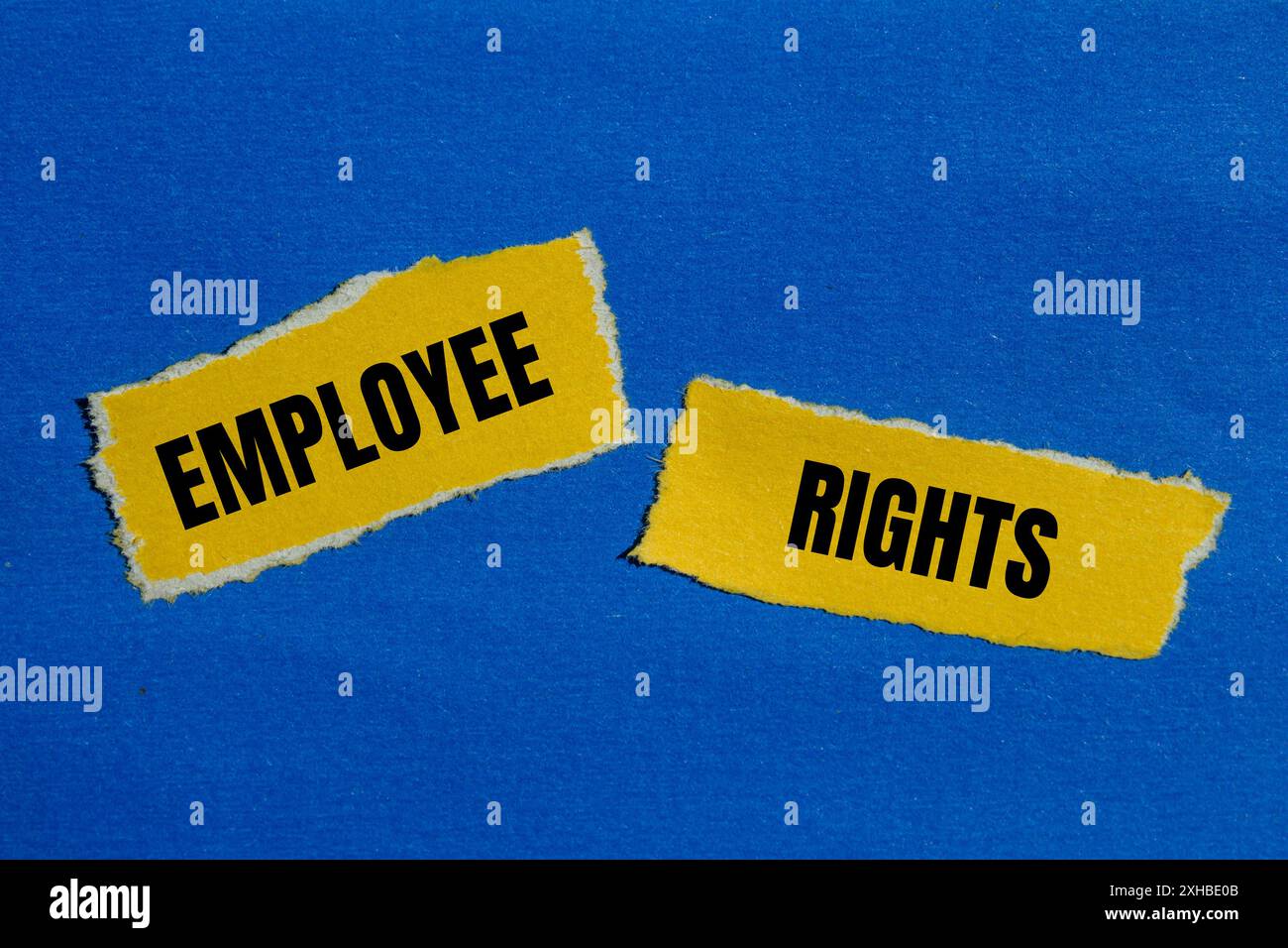 Employee rights words written on ripped yellow paper pieces with blue ...
