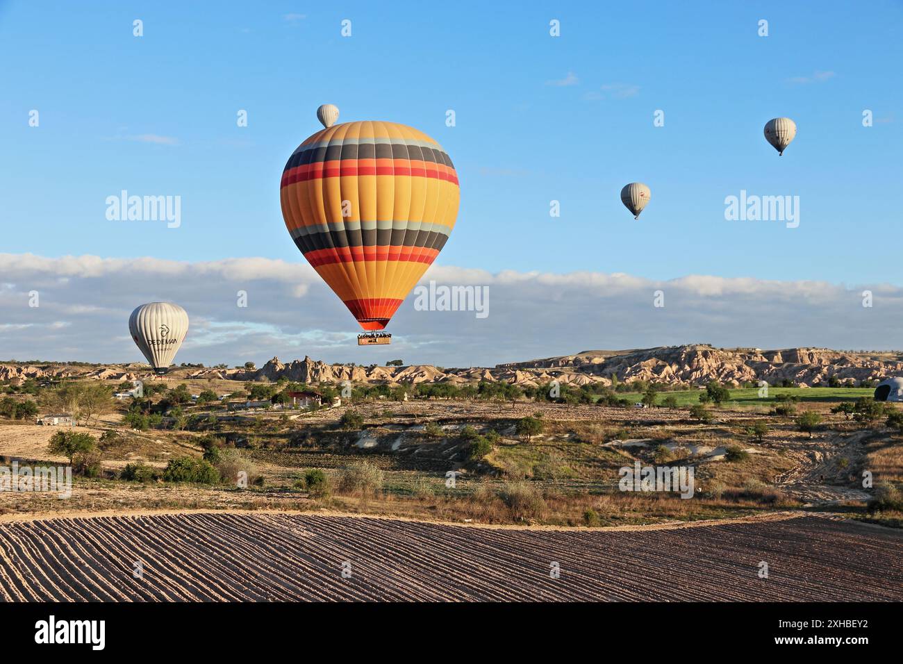 Mammoth hot air balloons hi-res stock photography and images - Alamy