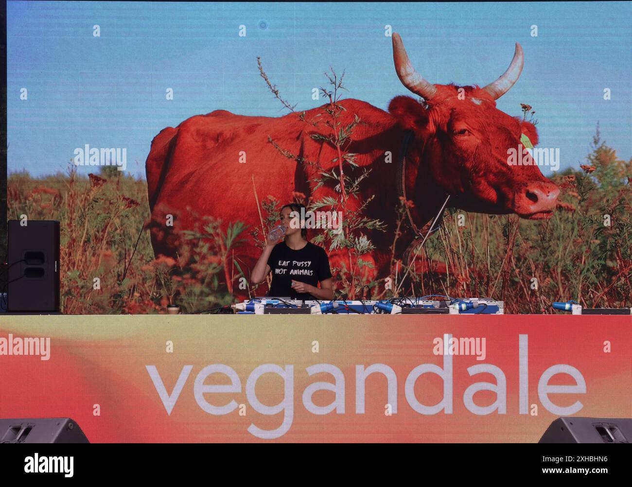 Clapham Common, London, UK. 13th July, 2024. Vegandale experience debut ...