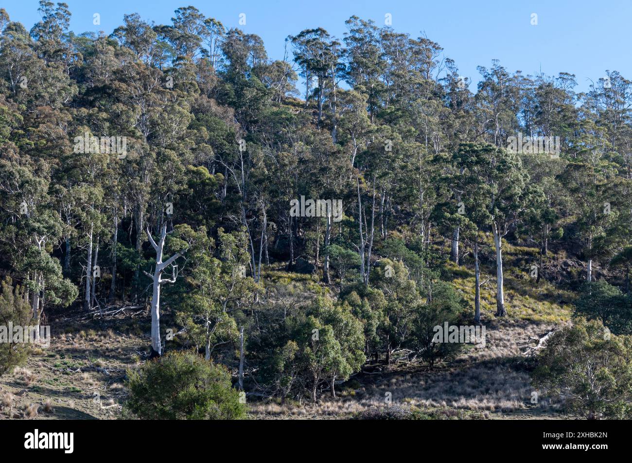 Australian aurumn hi-res stock photography and images - Alamy