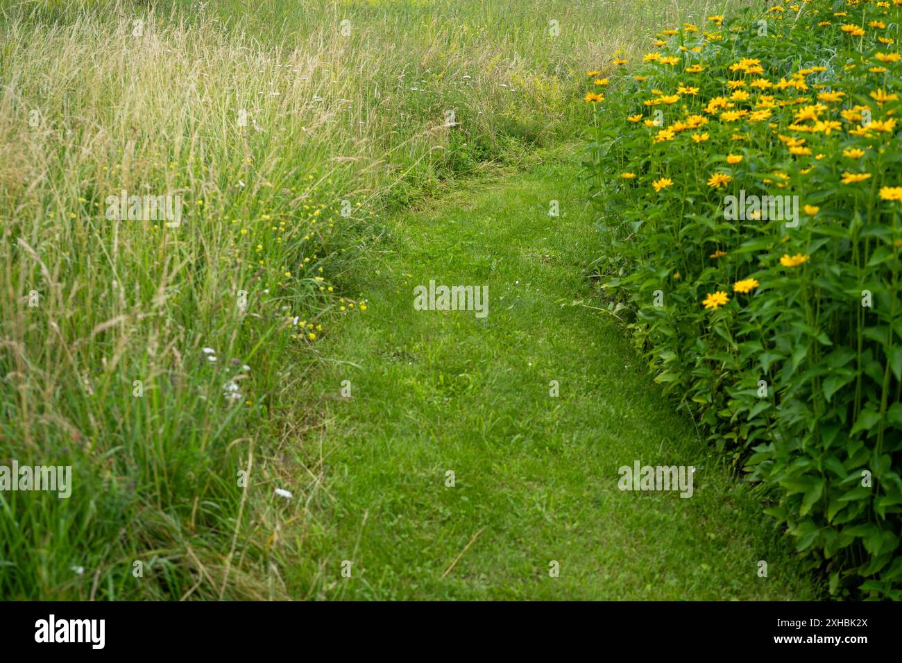 Path mowed in grass hi-res stock photography and images - Alamy
