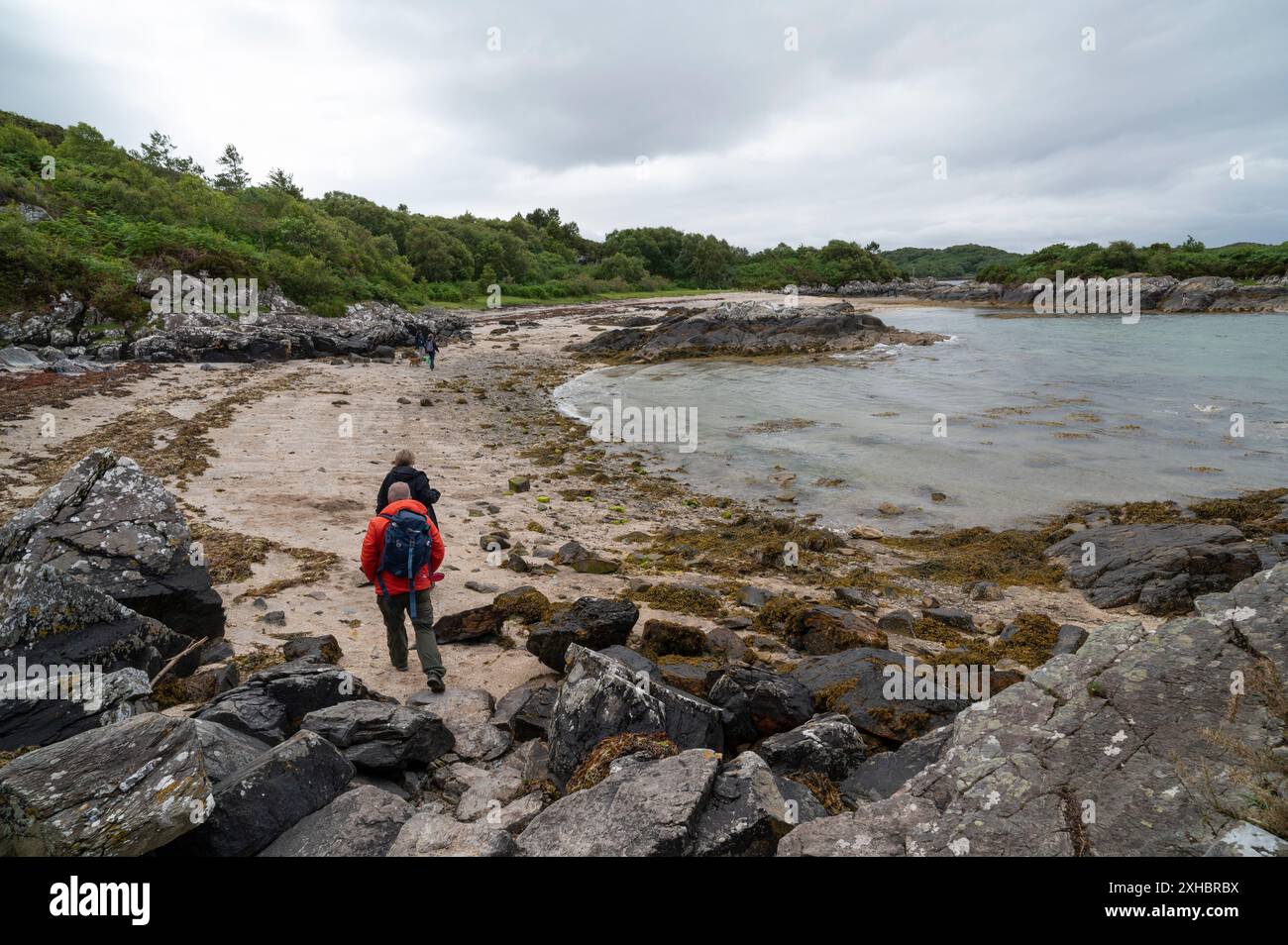 Scottish Highlands, Scotland, 2024 walkers on Coral Beach near ...
