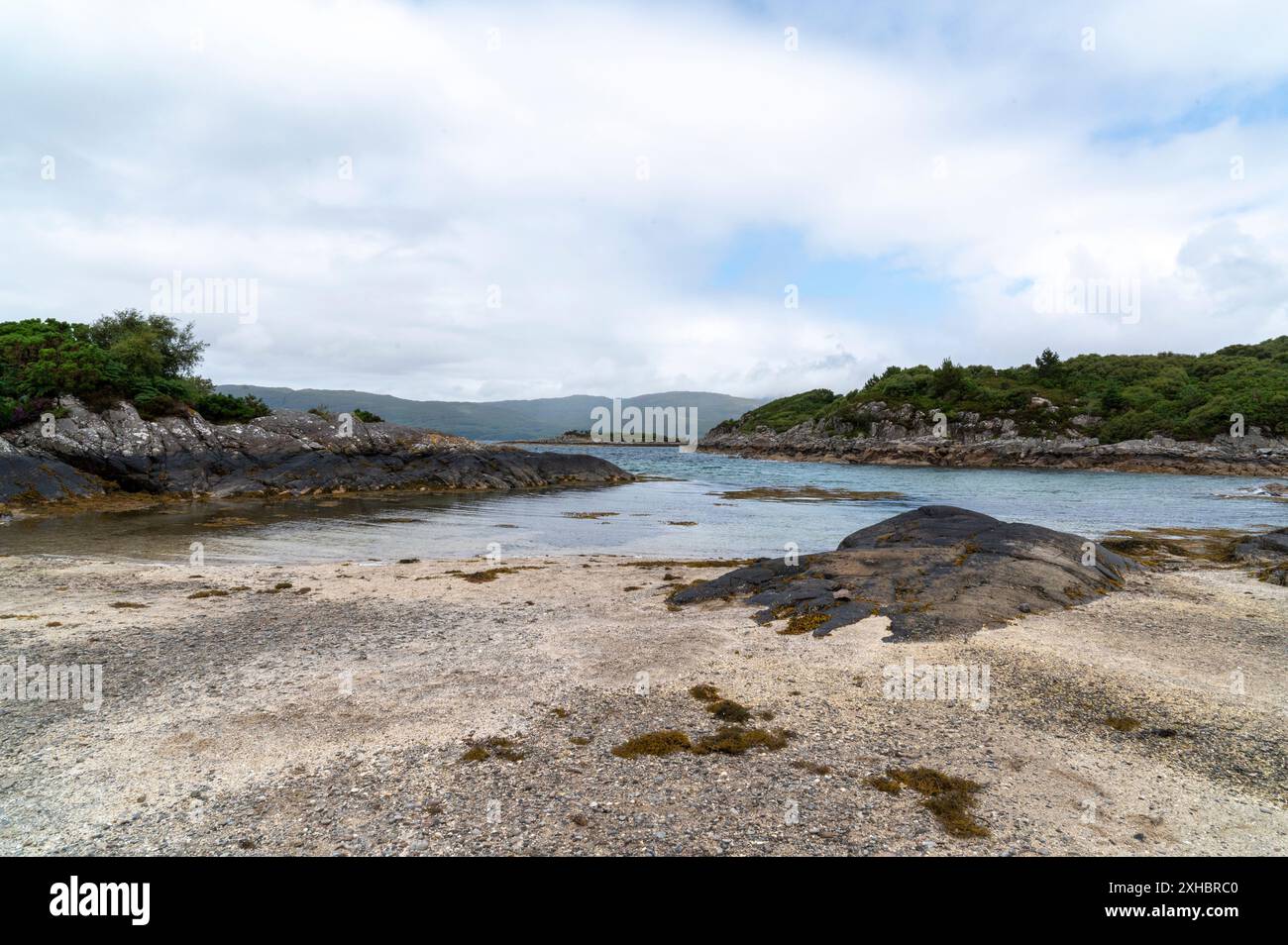 Coral beach skye seal hi-res stock photography and images - Alamy