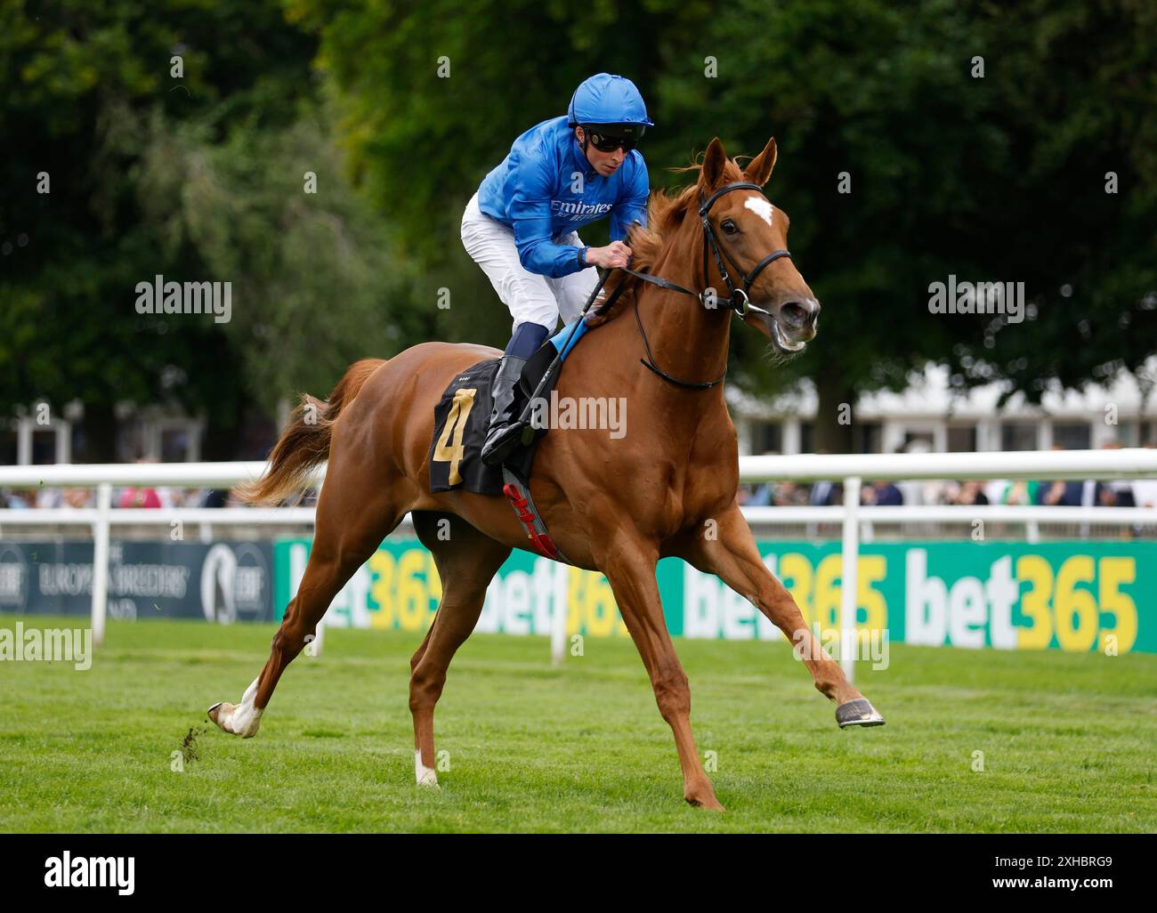 Desert Flower ridden by William Buick coming home to win the Rossdales ...