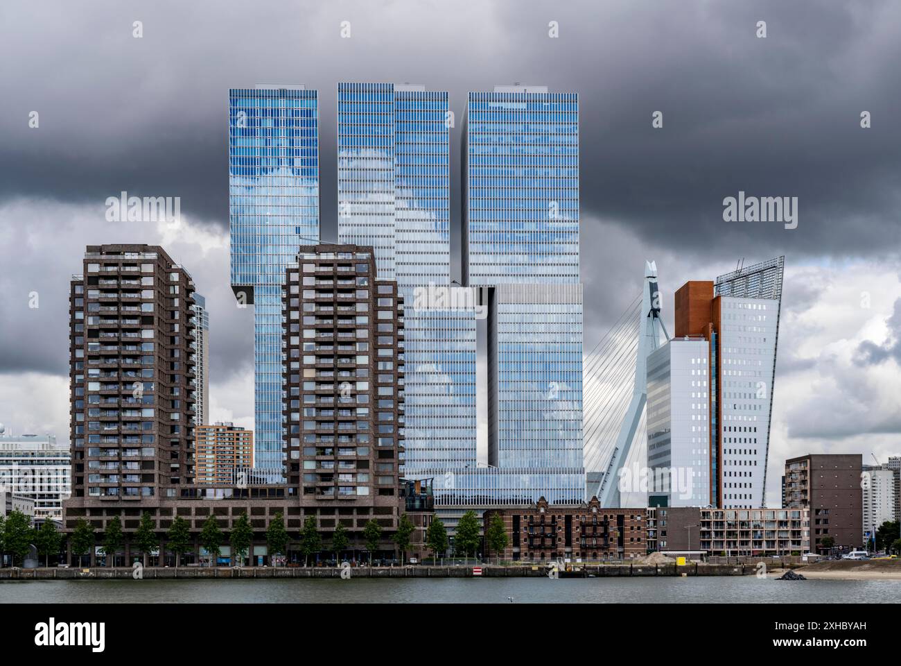 Rotterdam, skyline on the Nieuwe Maas, Erasmus Bridge, high-rise ...