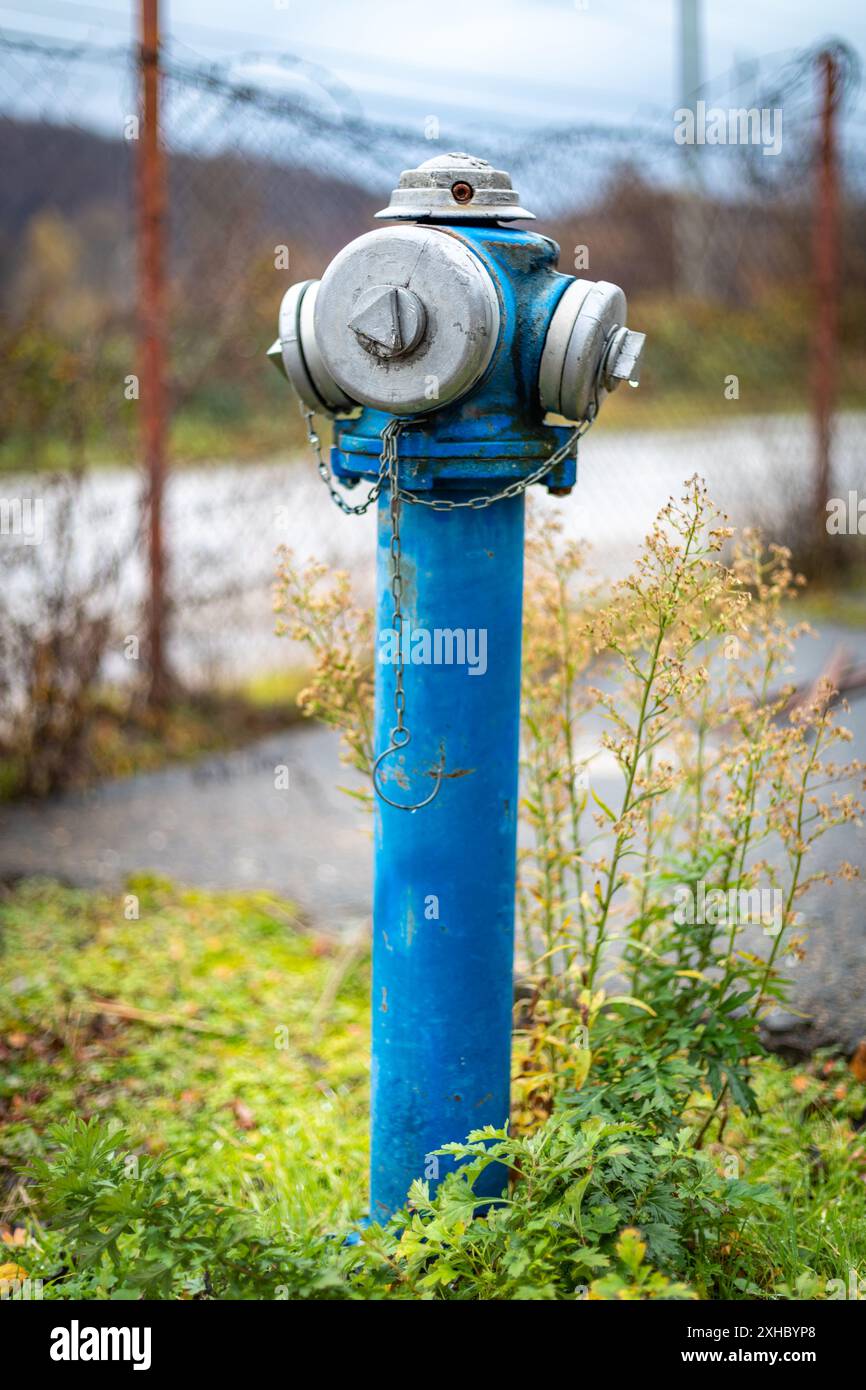 A blue fire hydrant with a chain and weeds growing around its base ...