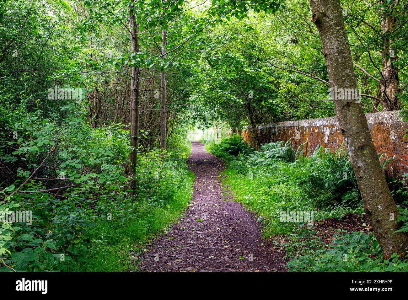 Dundee, Tayside, Scotland, UK. 13th July, 2024. UK weather: Overnight ...