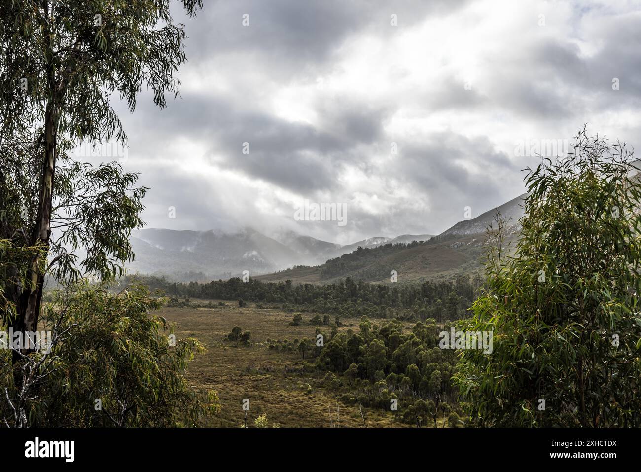 Gordon River Road Landscape in Tasmania Australia Stock Photo - Alamy
