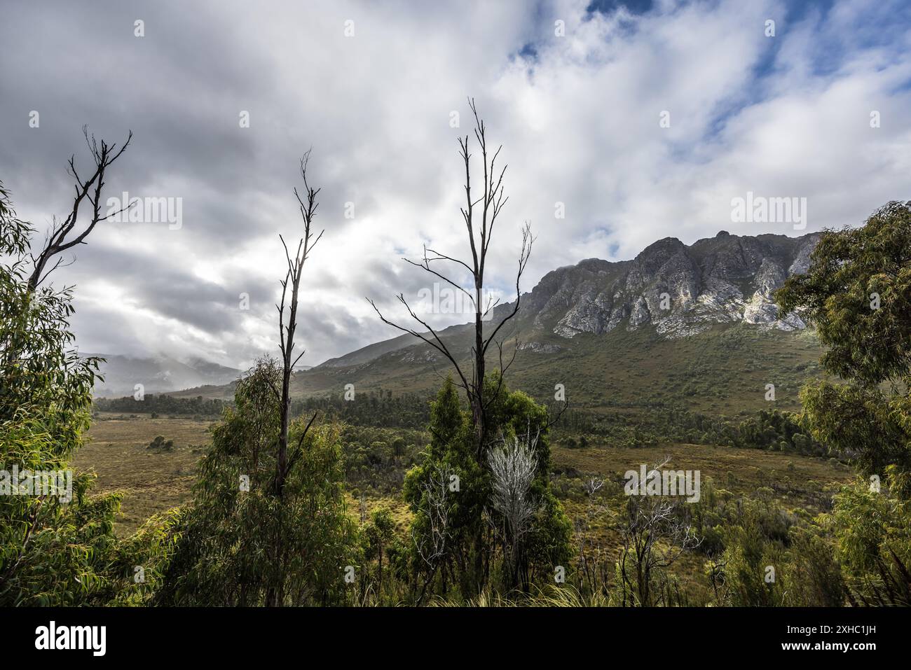 Gordon River Road Landscape in Tasmania Australia Stock Photo - Alamy
