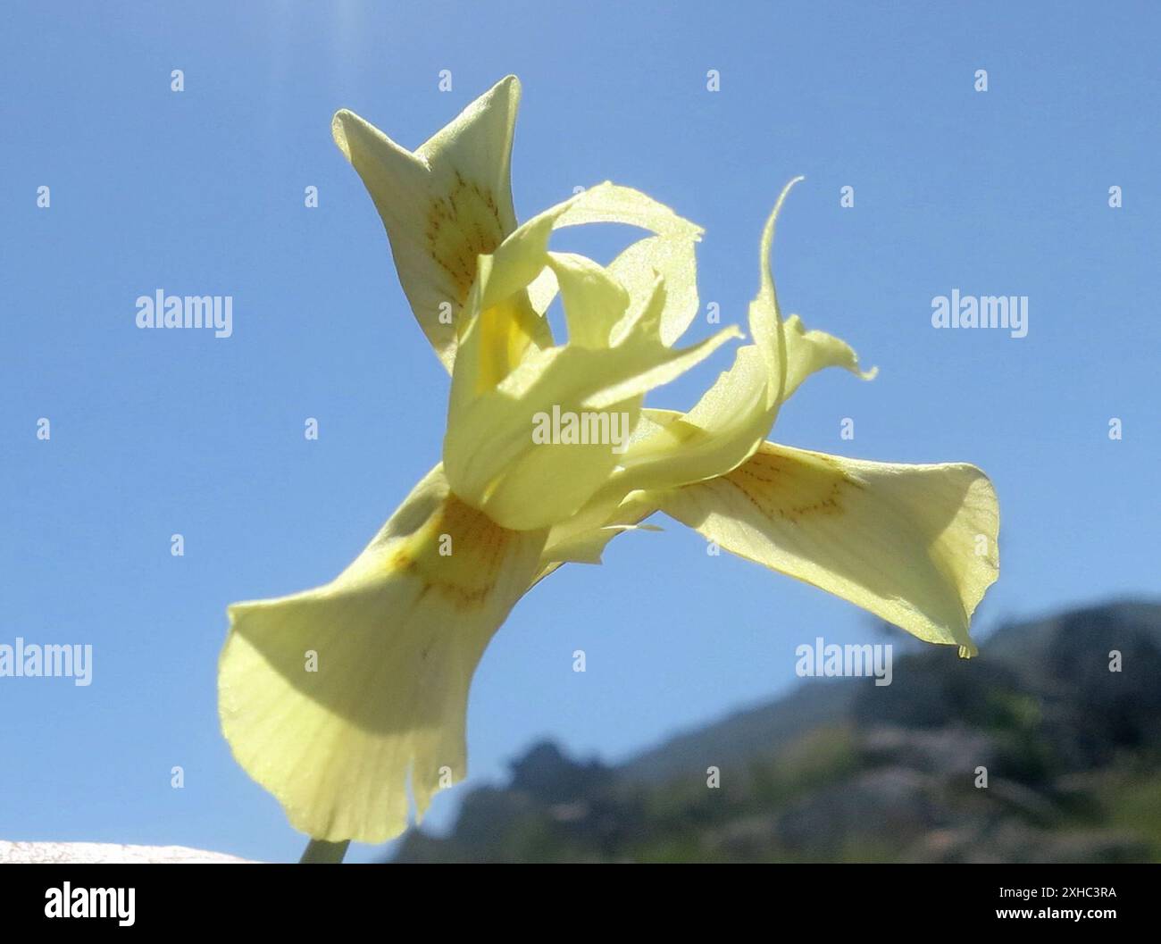 Klein drakenstein hi-res stock photography and images - Alamy