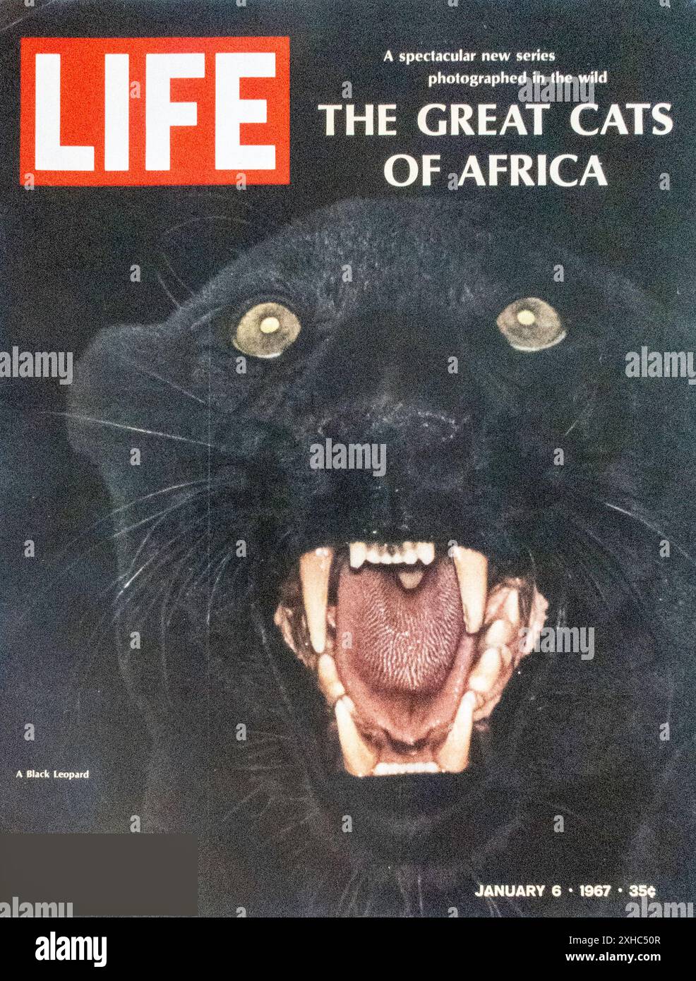 Print magazine cover hi-res stock photography and images - Alamy