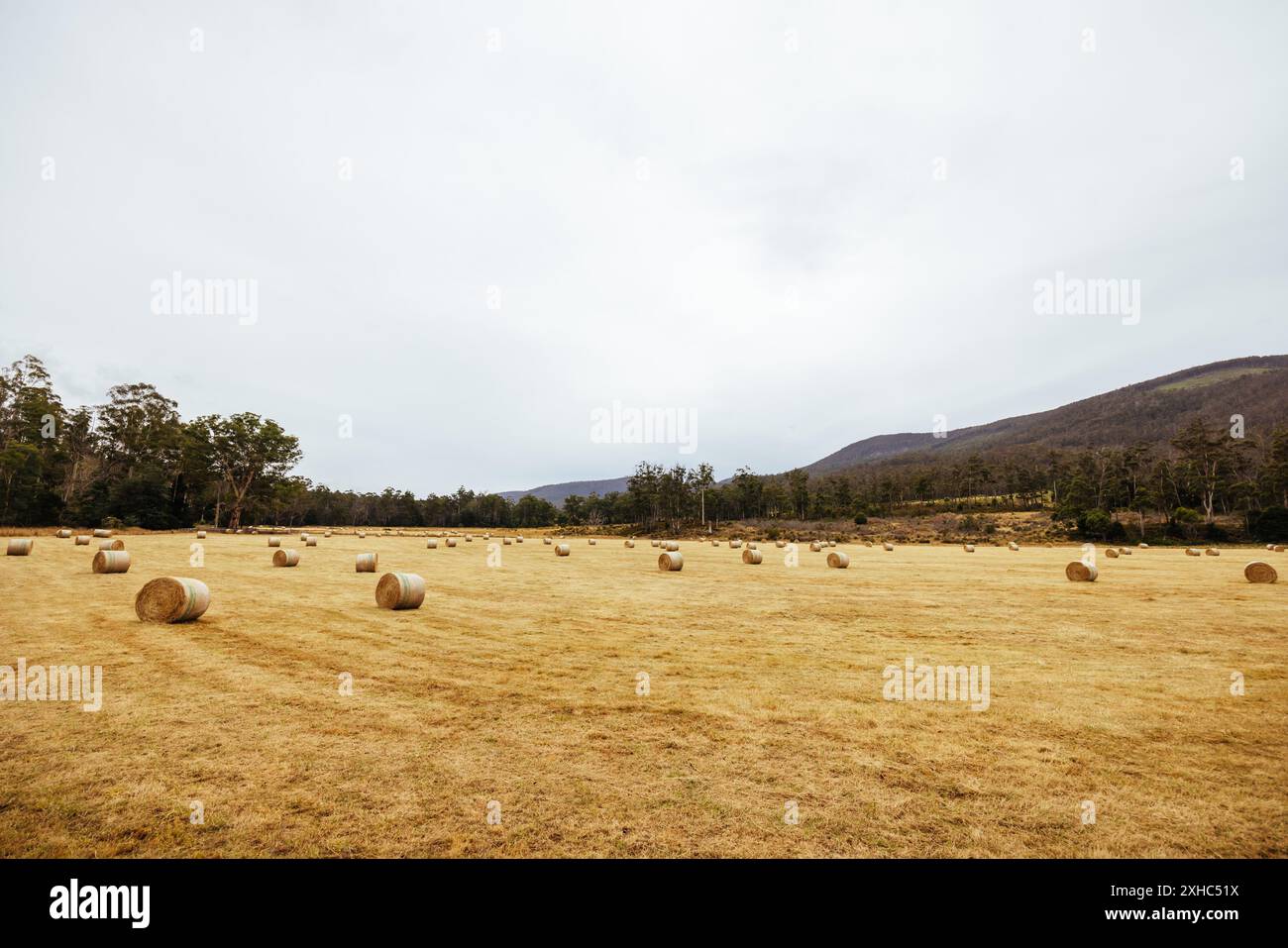 The area around Russell River and Lonnavale Rd in Lonnvale near ...