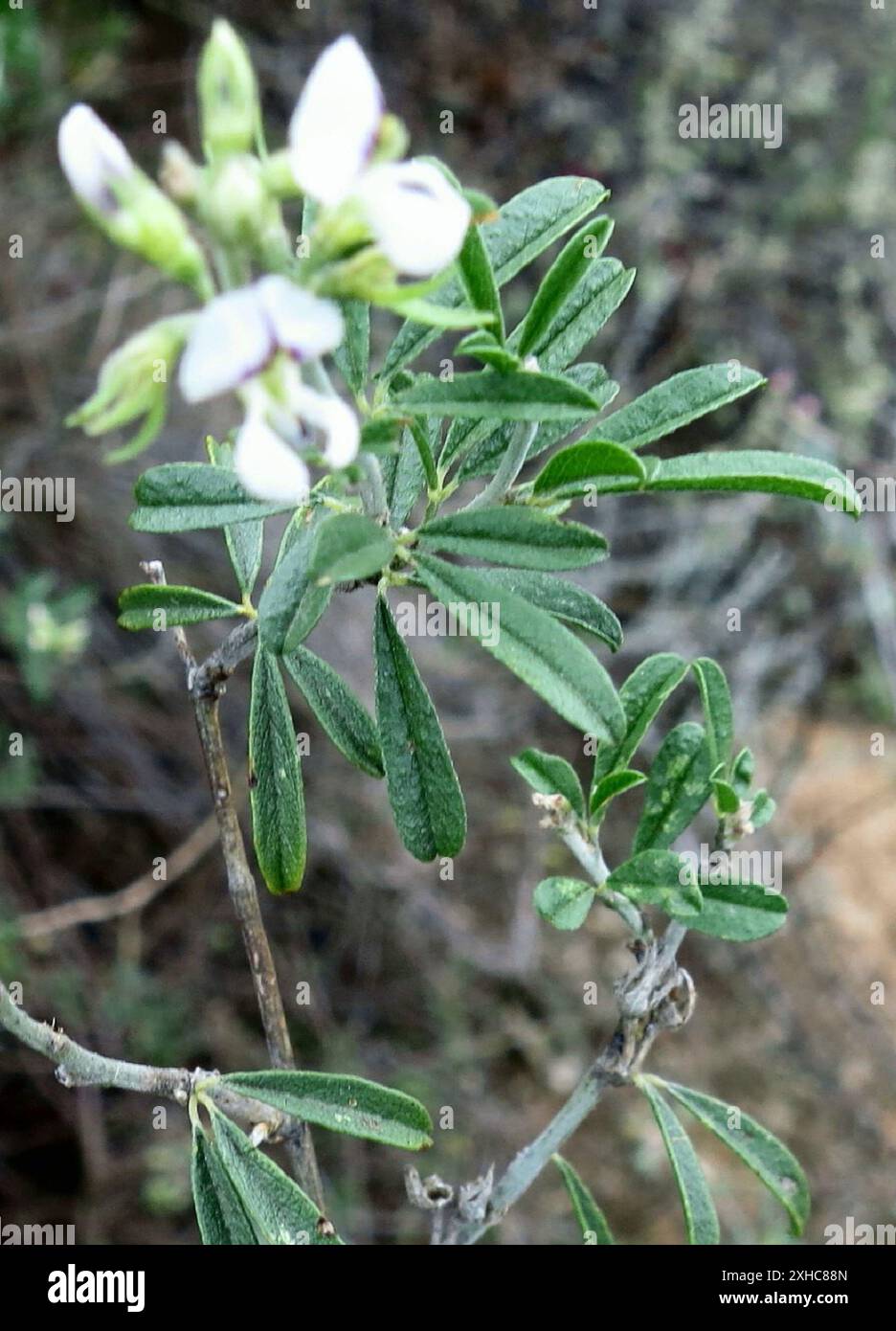 Min water hi-res stock photography and images - Alamy