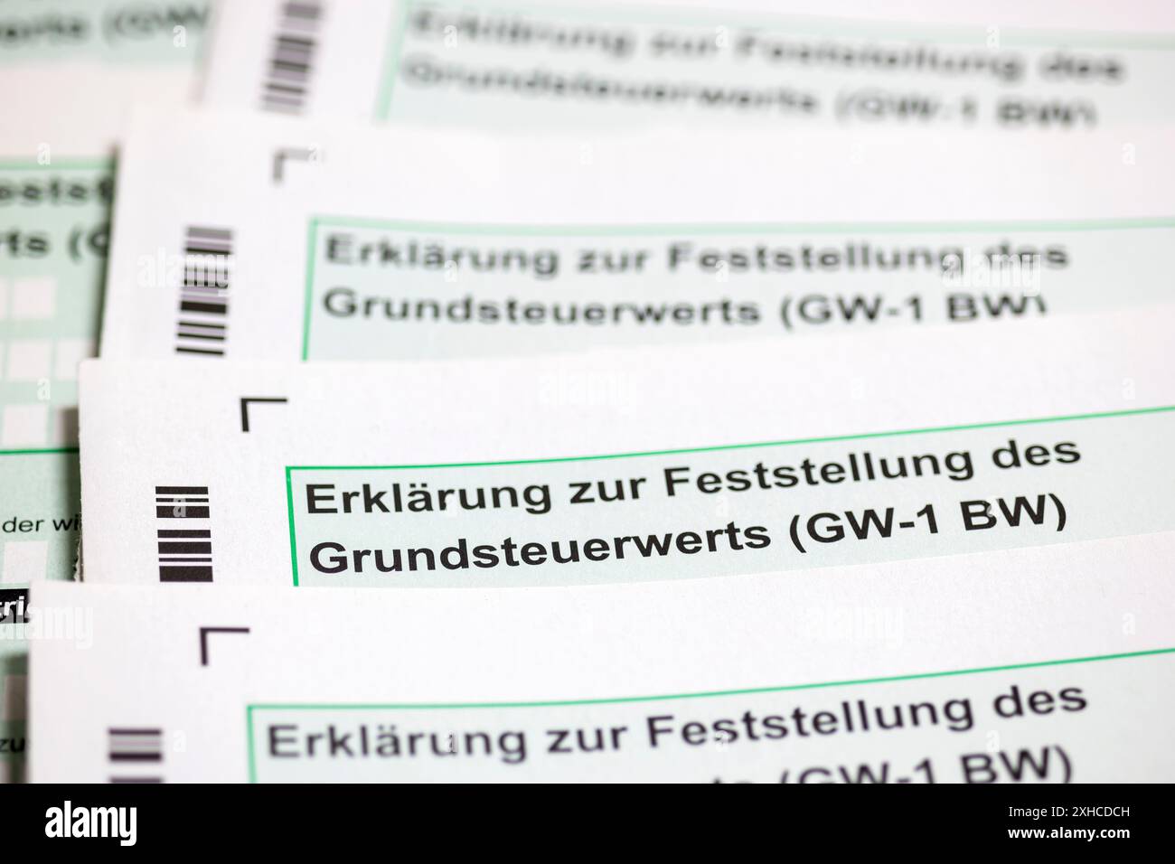 Declaration for the determination of the property tax value, property ...