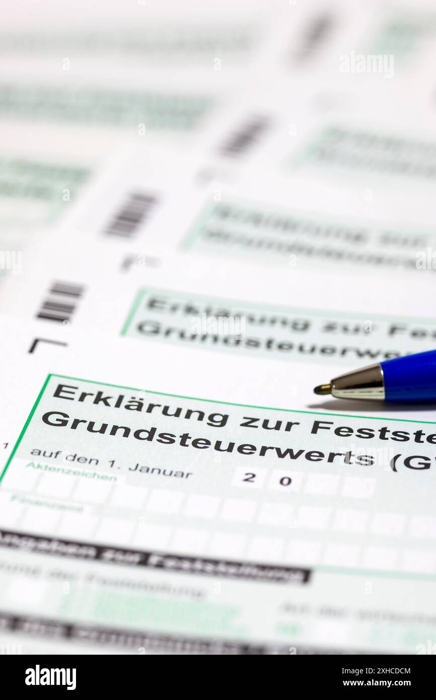 Declaration of property tax value, property tax, tax return, tax office ...