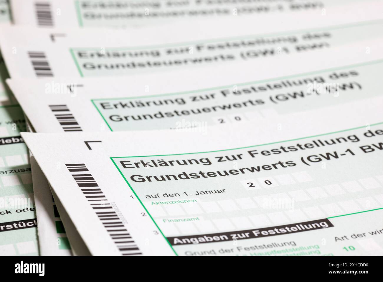 Declaration for the determination of the property tax value, property ...
