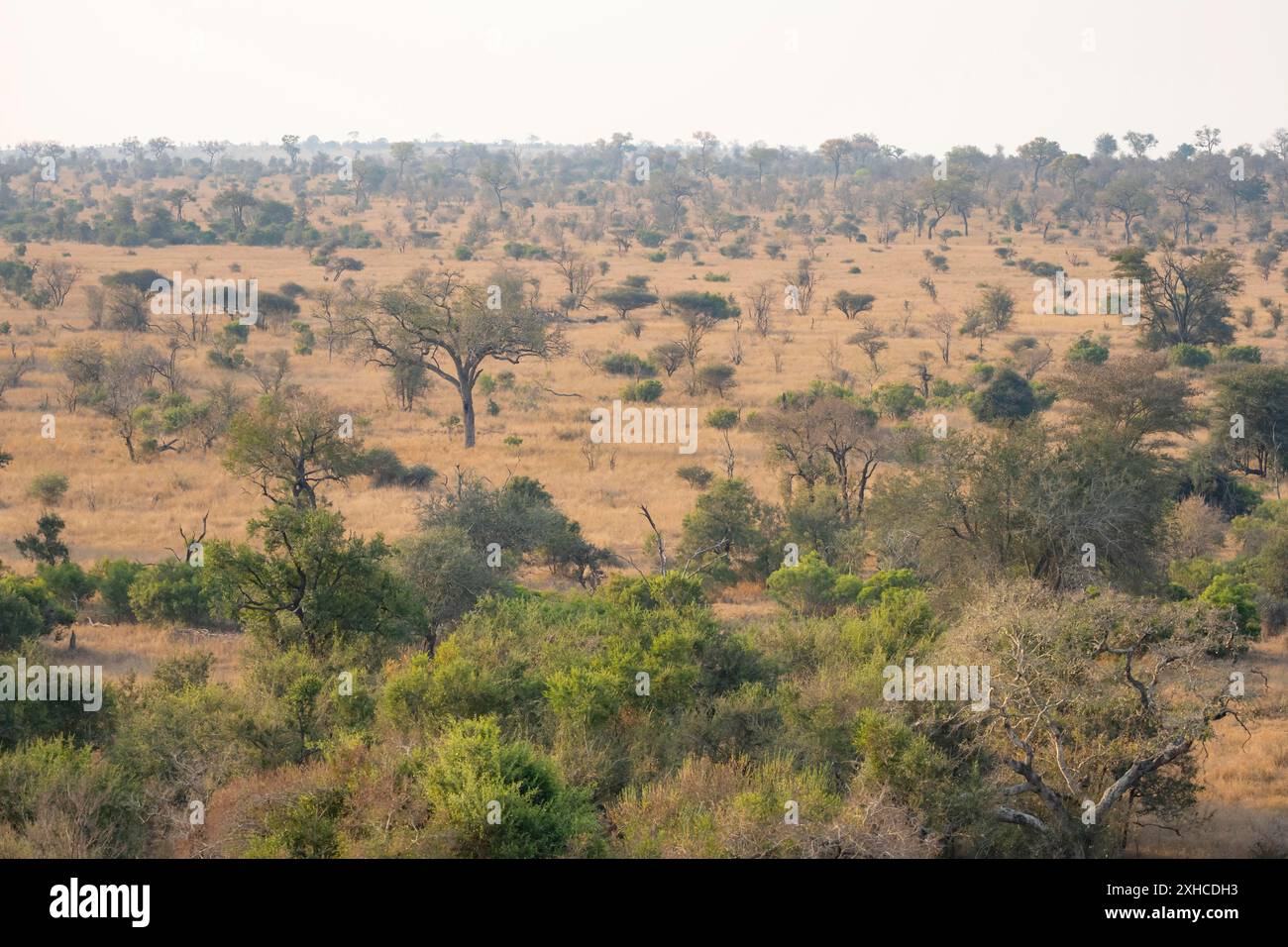 View over kruger national park hi-res stock photography and images - Alamy