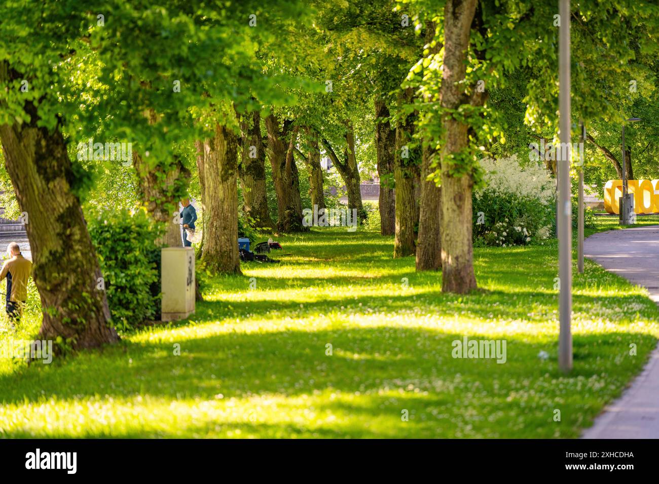 Two people under shade tree hi-res stock photography and images - Alamy