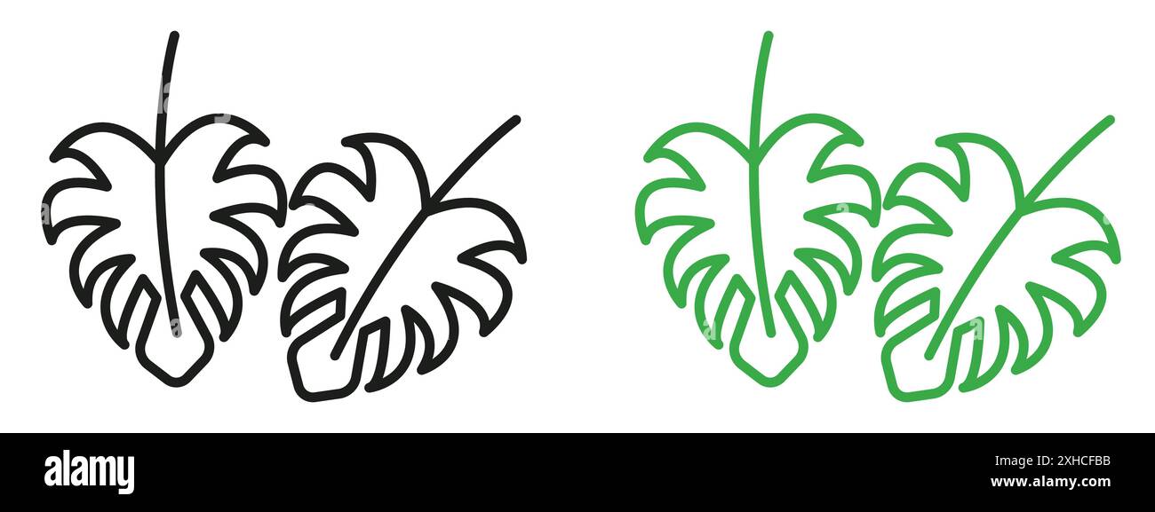 Monstera deliciosa plant leaf icon Vector symbol or sign set collection ...