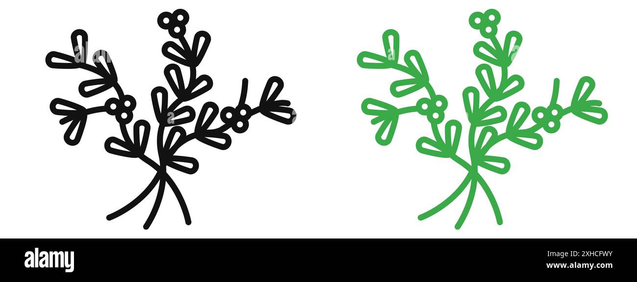Mistletoe vectors Cut Out Stock Images & Pictures - Alamy