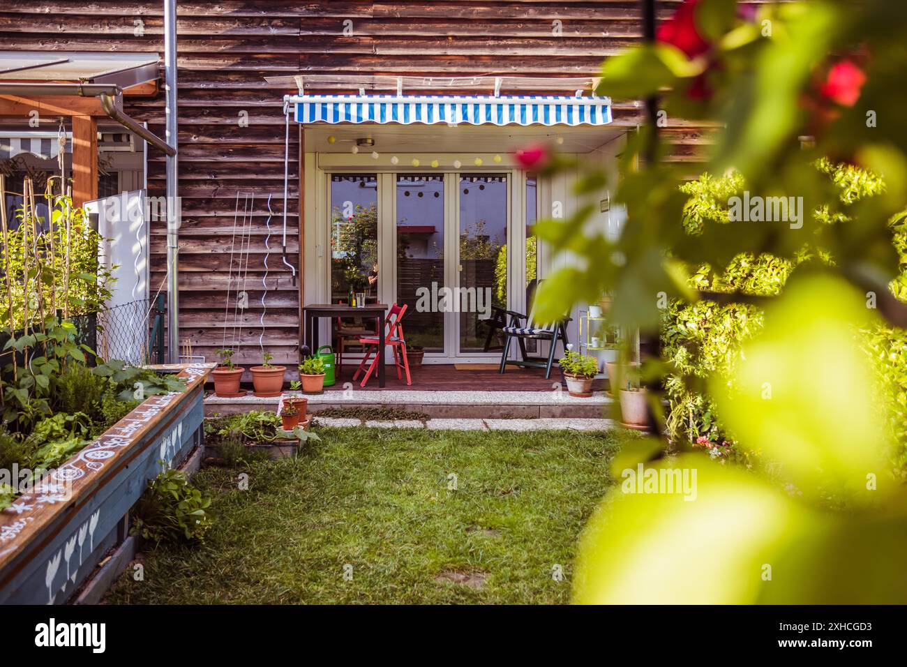 Little garden with green grass and flowers for having good times ...