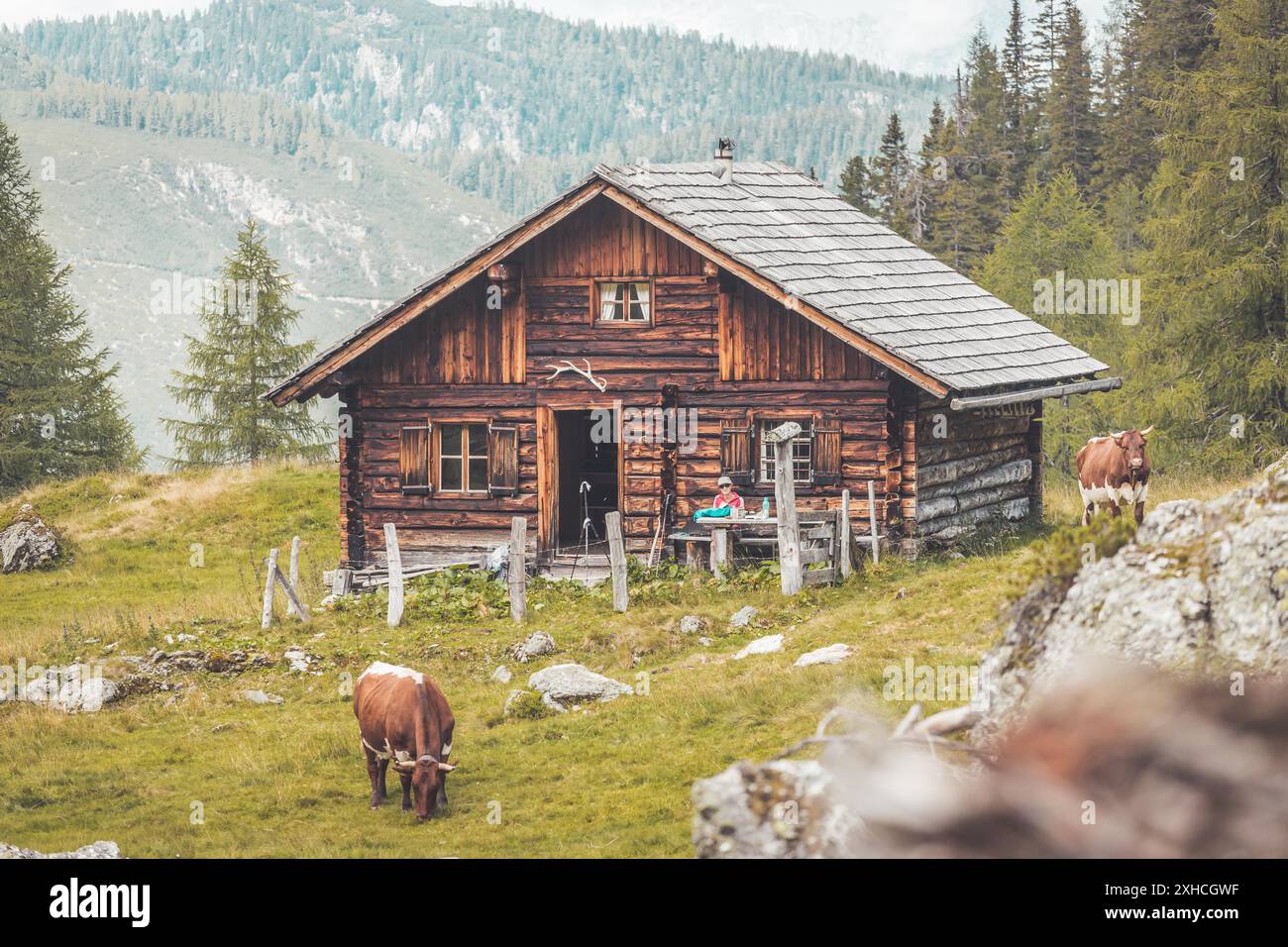 Log cabin austrian alps hi-res stock photography and images - Alamy