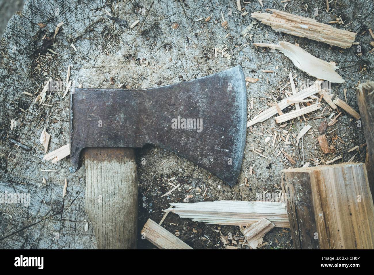 Murder tree hi-res stock photography and images - Alamy