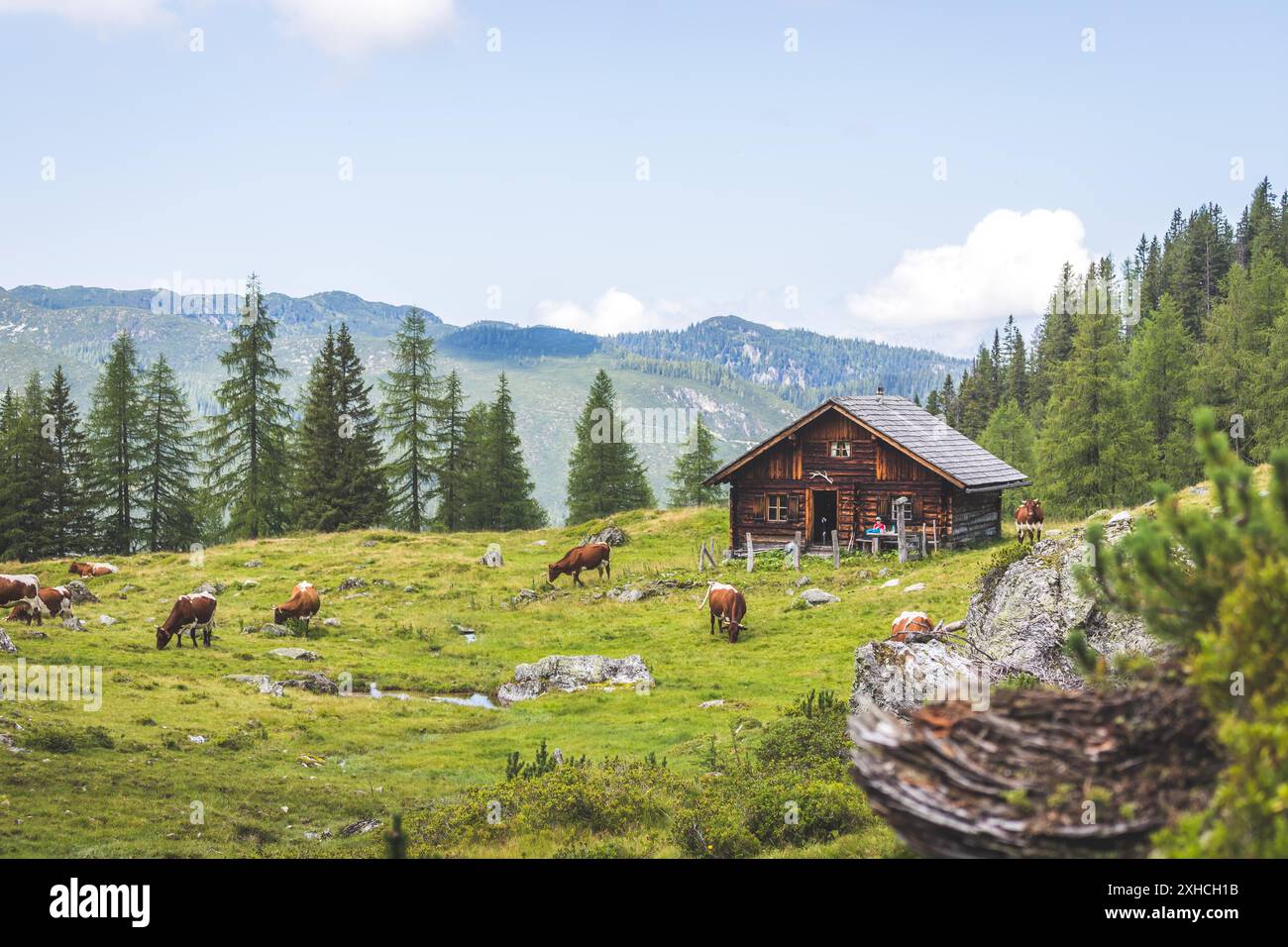 Mountain chalet in Austria: Idyllic landscape in the Alps Stock Photo ...