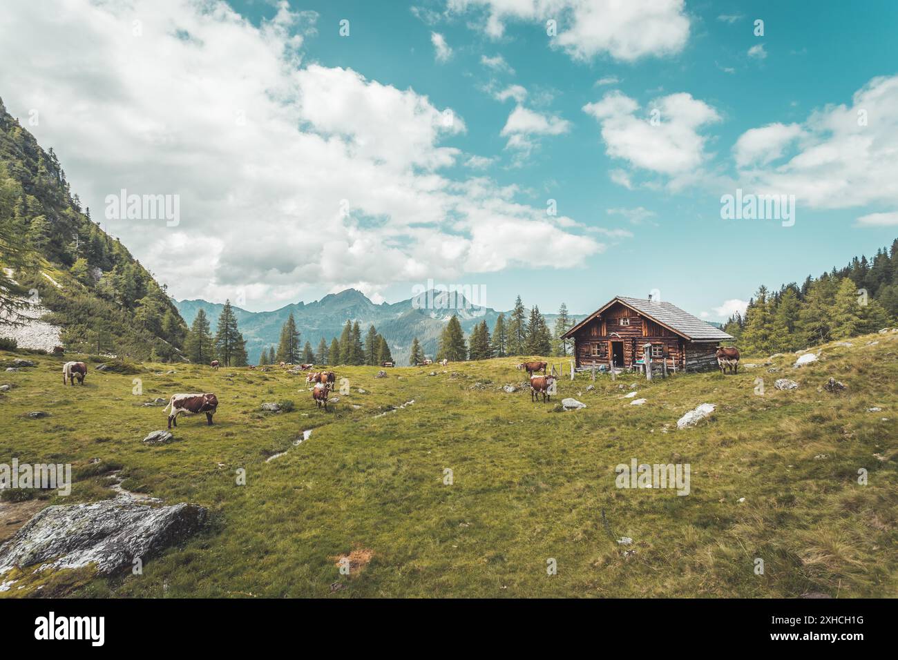 Mountain chalet in Austria: Idyllic landscape in the Alps Stock Photo ...