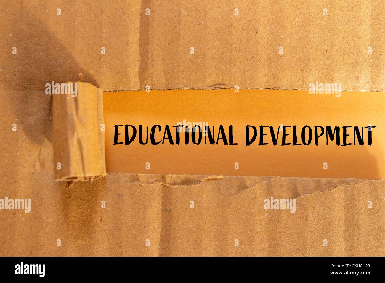 Educational development message written on ripped paper with color ...