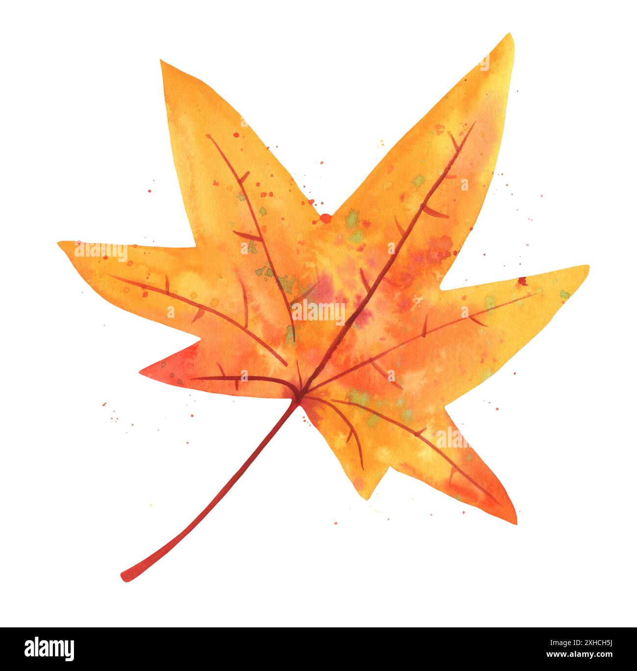 Watercolor maple leaf hi-res stock photography and images - Alamy