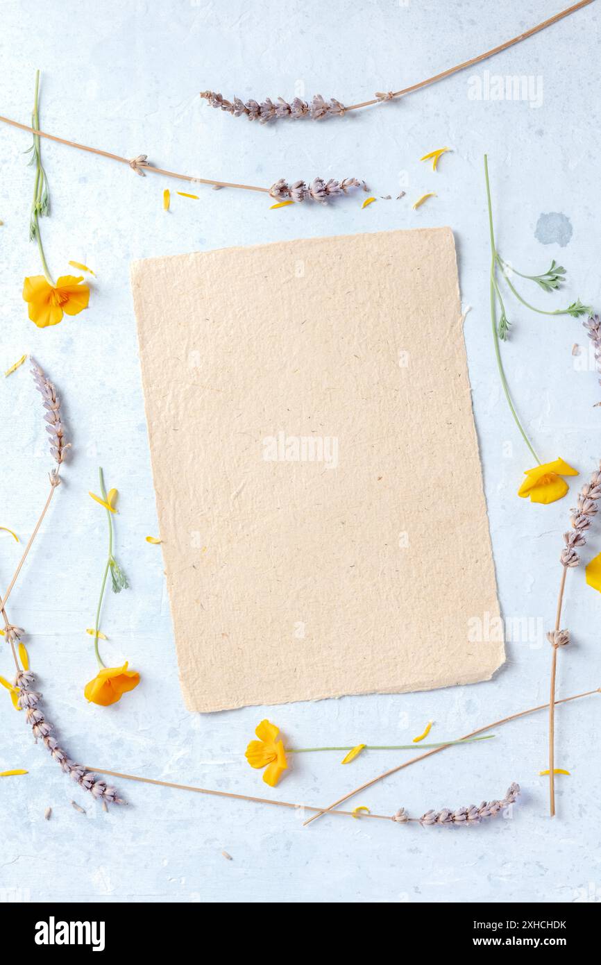 Mockup paper overhead shot hi-res stock photography and images - Alamy