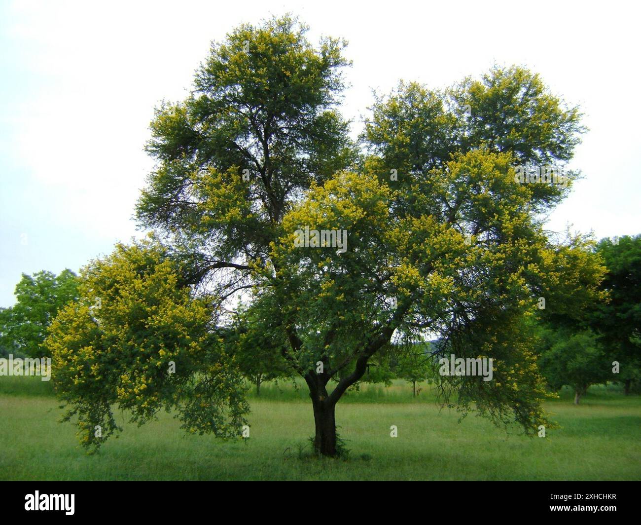 Roodeplaat hi-res stock photography and images - Alamy