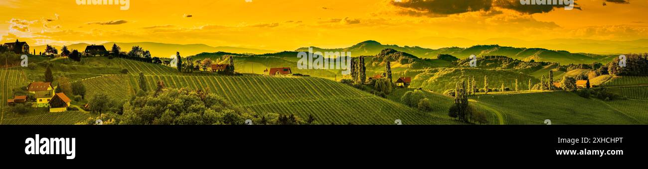 Panorama of vineyards hills in south Styria, Austria. Tuscany like ...