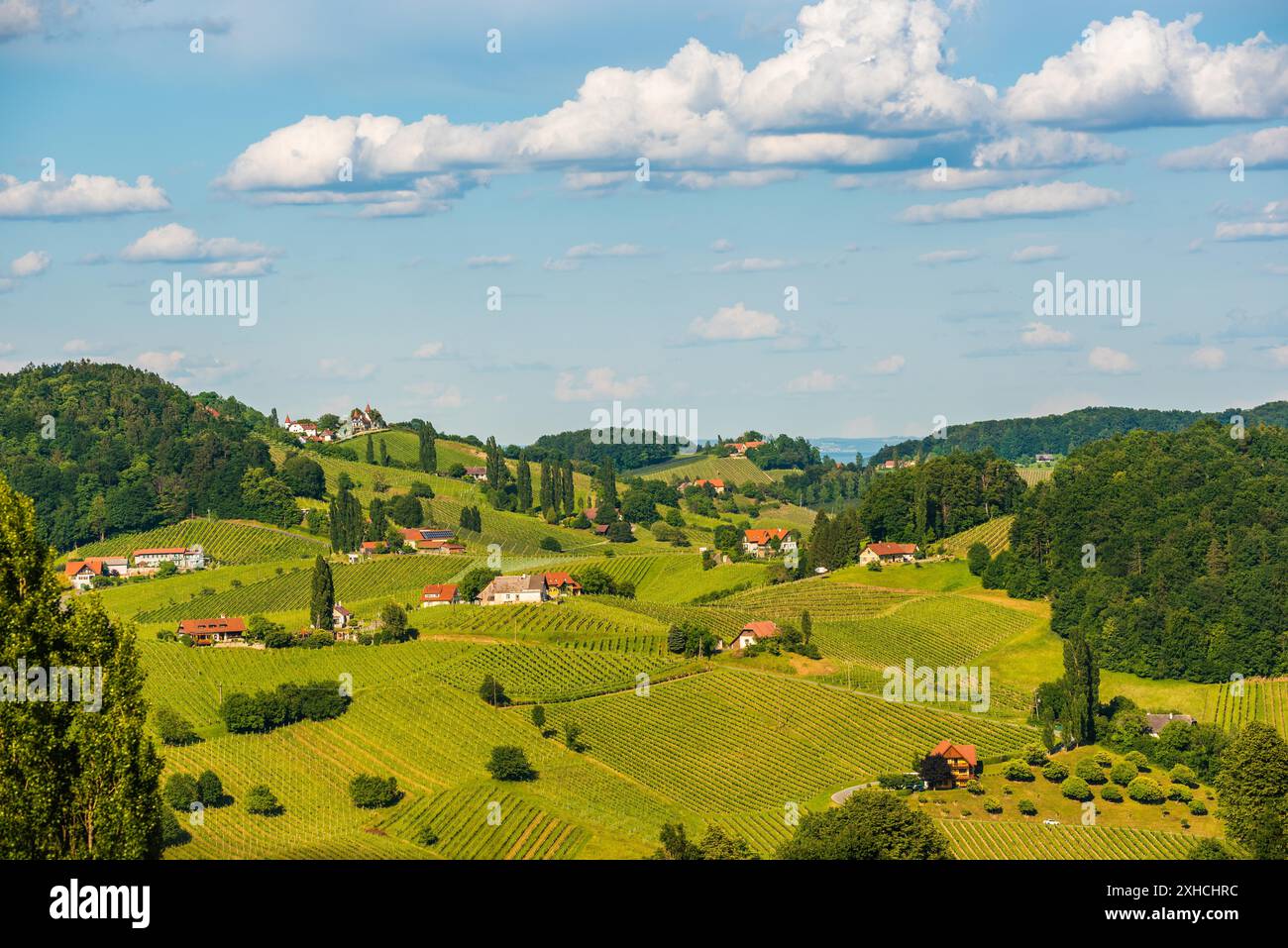 Beautiful landscape of Austrian vineyards in south Styria. Famous ...