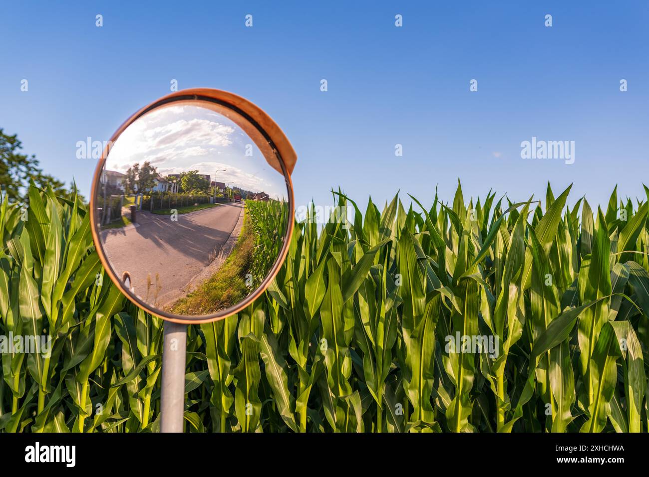 The traffic curve mirror in rural area due narrow road and poor ...