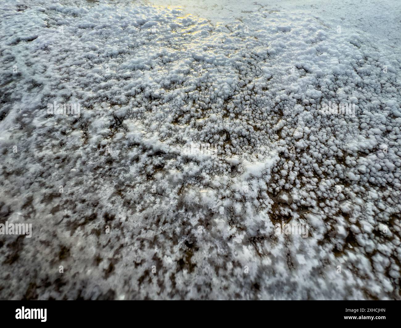 Showcasing unique surface textures hi-res stock photography and images ...