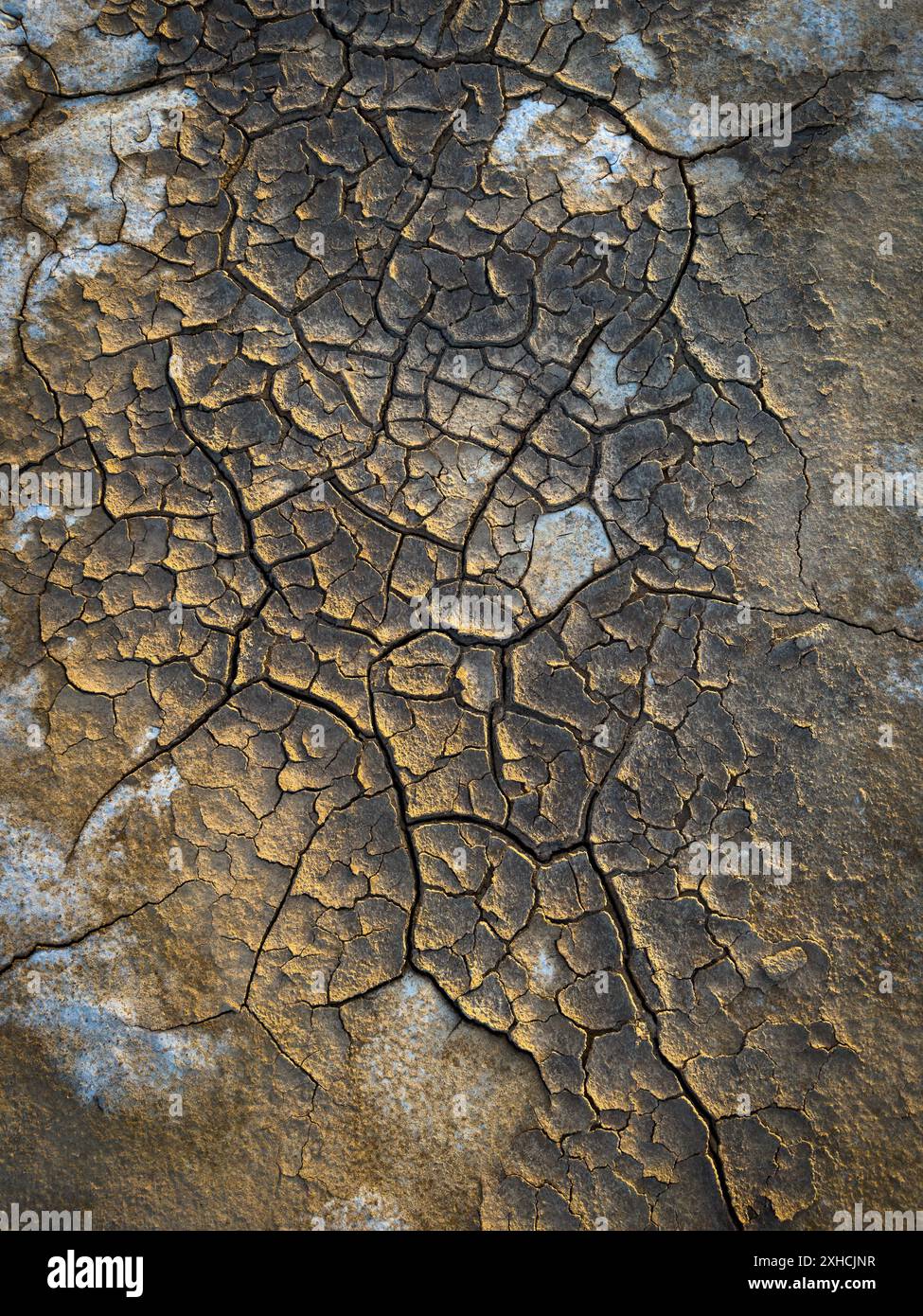 Close-up of cracked and dry soil texture, illuminated by sunlight. The ...