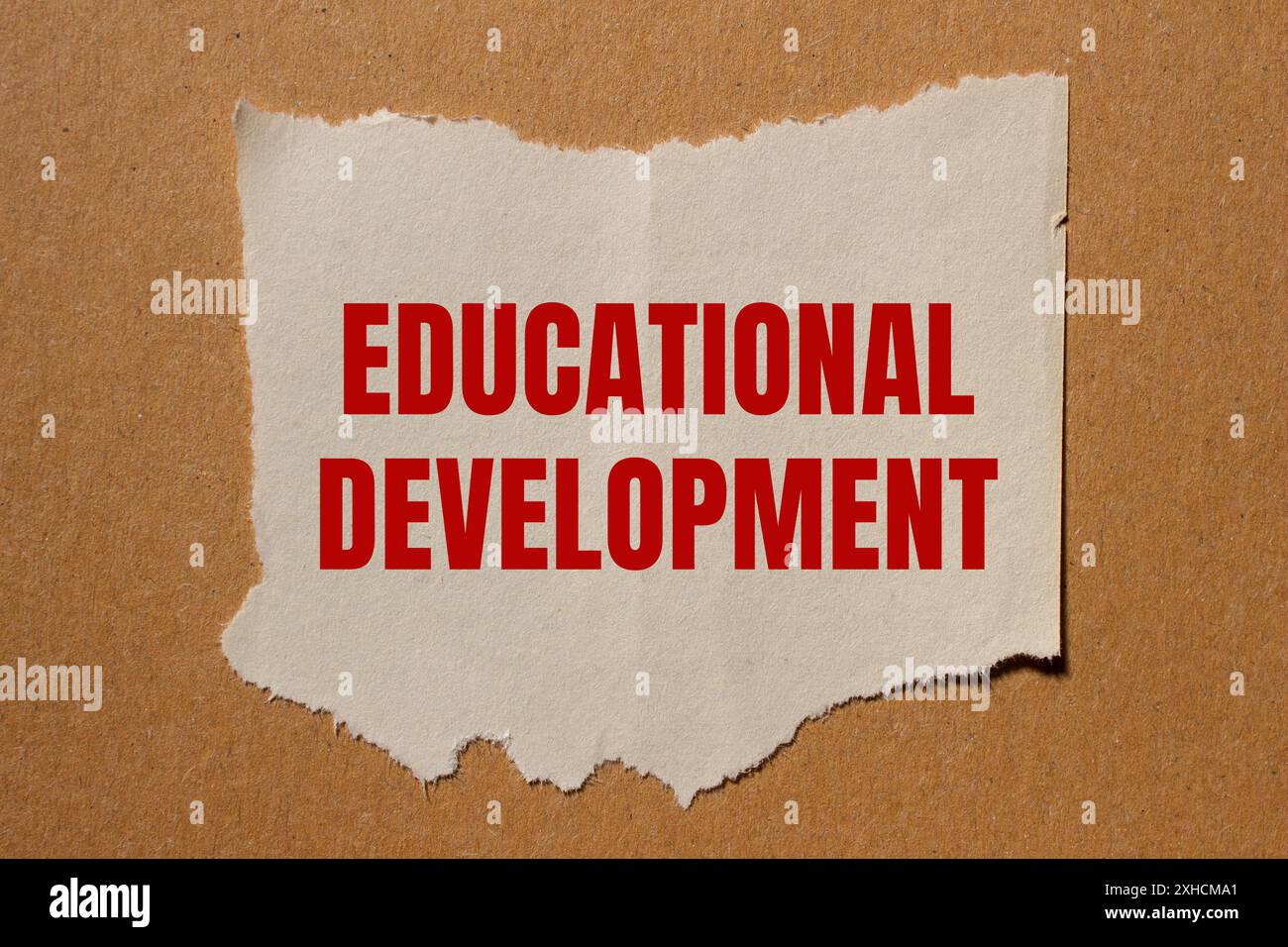 Educational development message written on ripped paper with cardboard ...