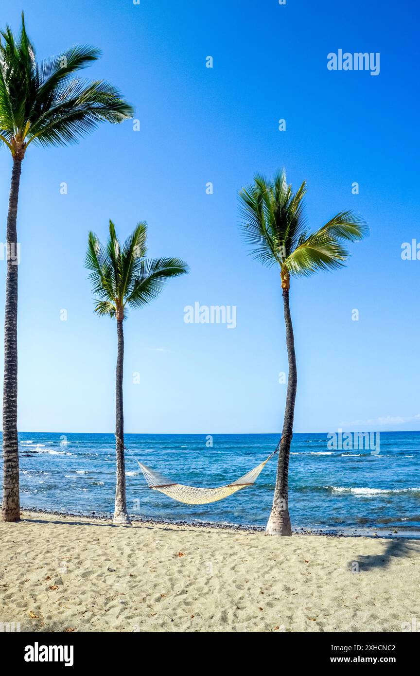Hawaii beach family hi-res stock photography and images - Alamy