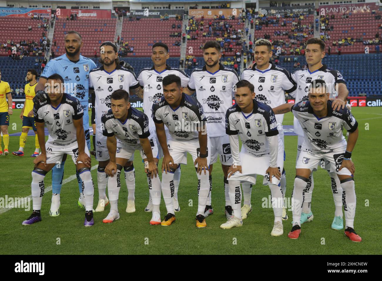 Gallos de queretaro soccer team hi-res stock photography and images - Alamy