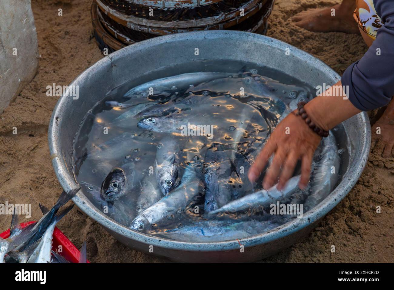 Tam Tien fish market at Quang Nam, Central Vietnam, Asia in June Stock ...