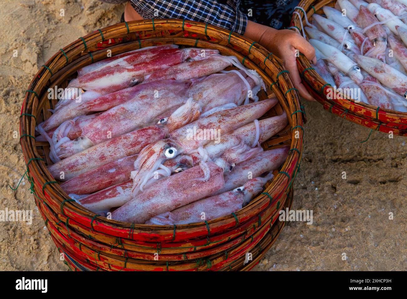 Tam Tien fish market at Quang Nam, Central Vietnam, Asia in June Stock ...