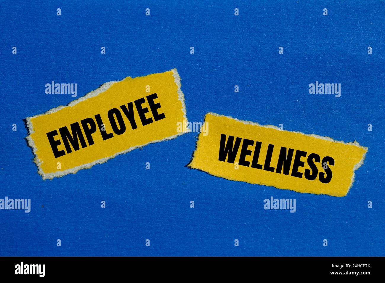 Employee wellness words written on ripped yellow paper pieces with blue ...
