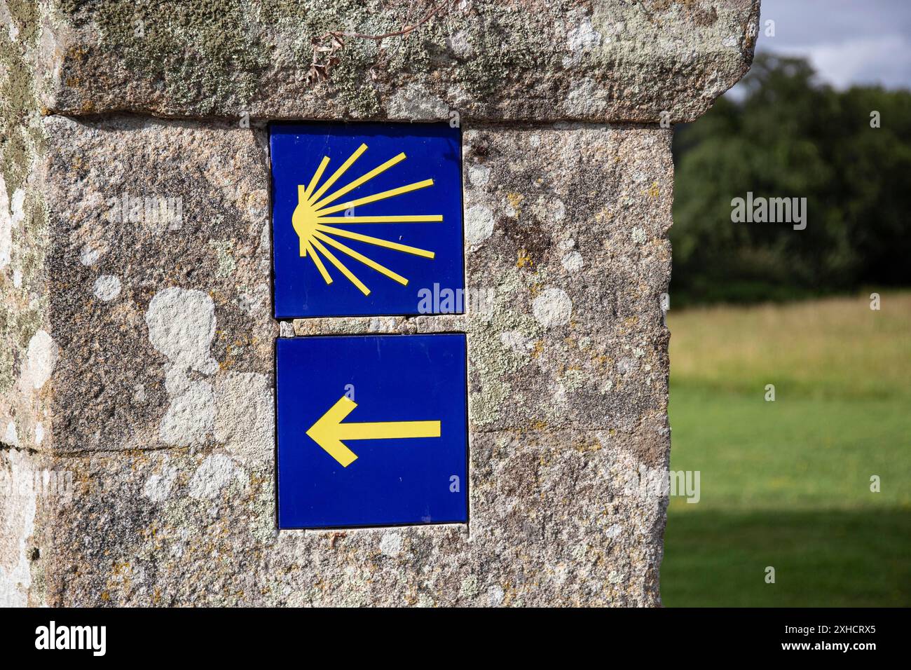 Camino de Santiago Yellow scallop and arrow sign on old stone wall. Way ...