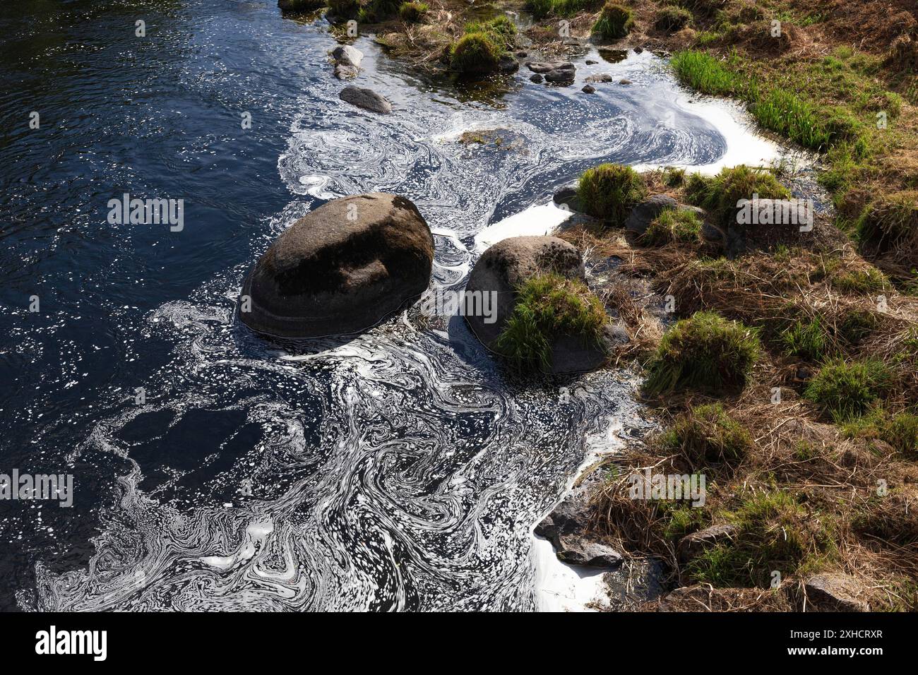 Detergent pollution hi-res stock photography and images - Alamy