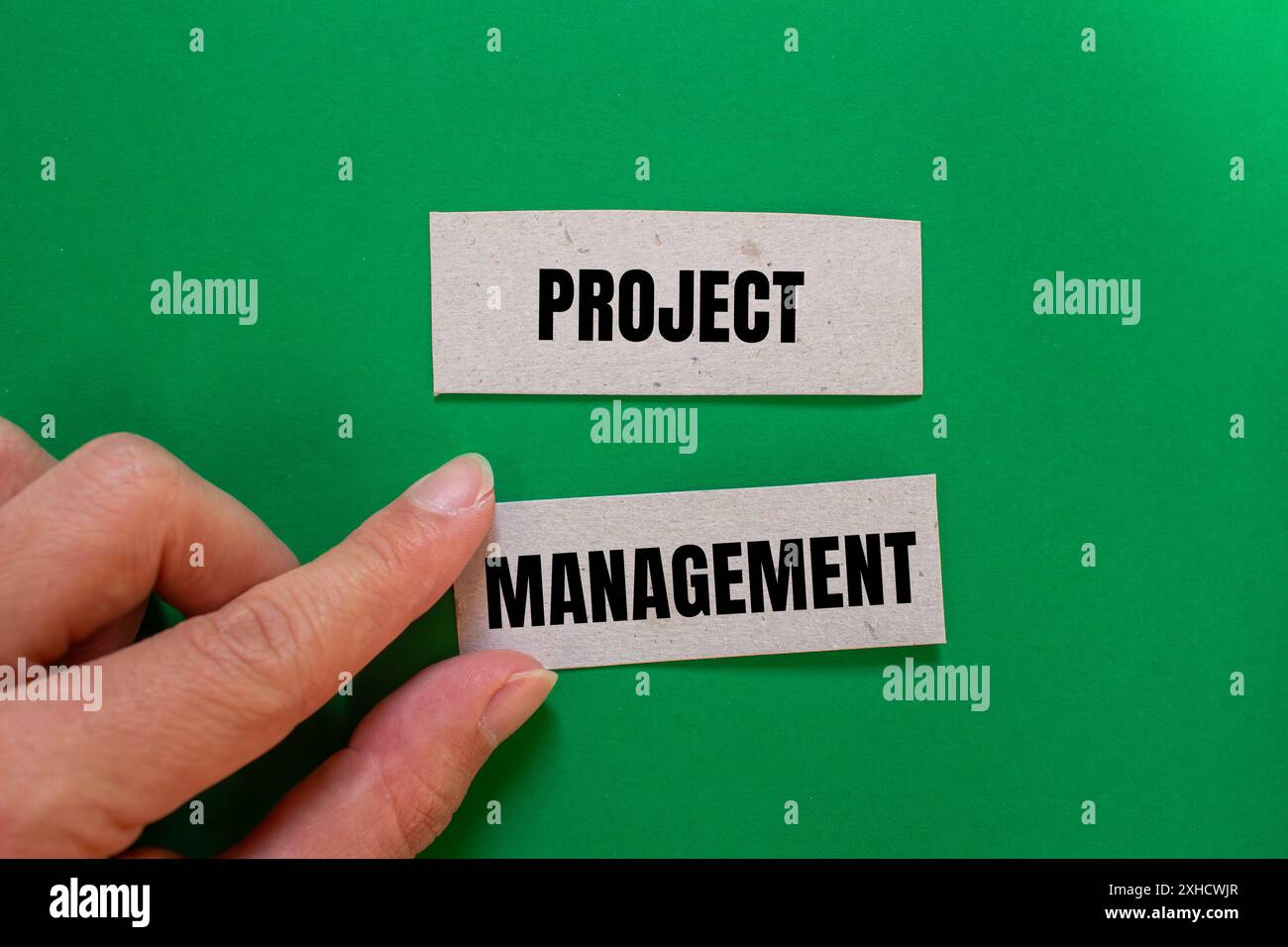 Project management message written on paper pieces with green ...