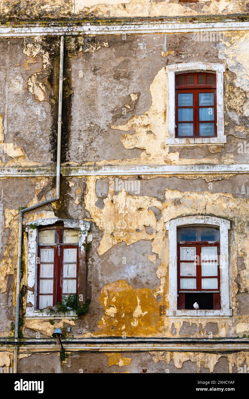 UNA PALOMA BLANCA Stock Photo - Alamy